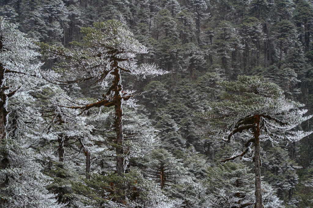 Trekking Deep into Mountains of the Isolated Himalayan Buddhist Kingdom ...