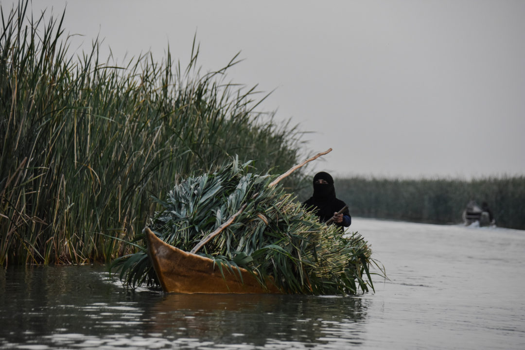 Staying with the Marsh Arabs of the Mesopotamian Marshes and Climbing ...