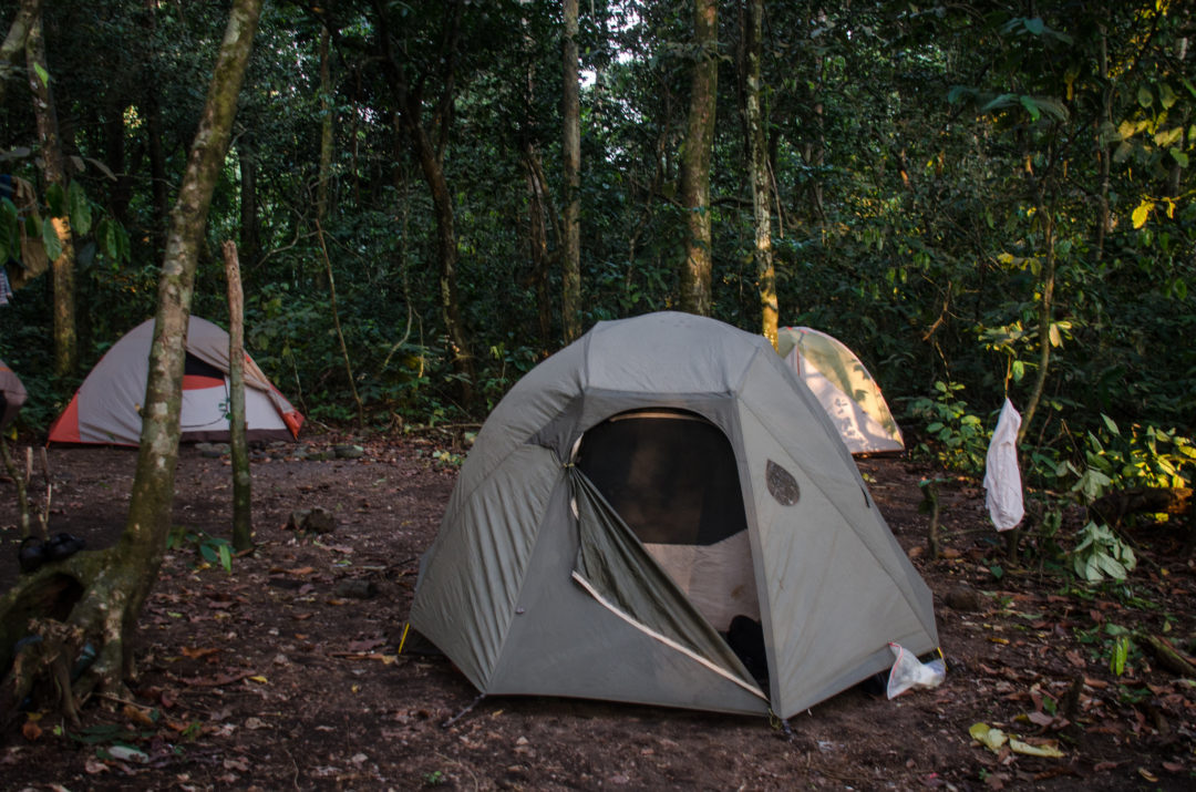 Camping for a Week with Scientists Studying Primates and Giant ...