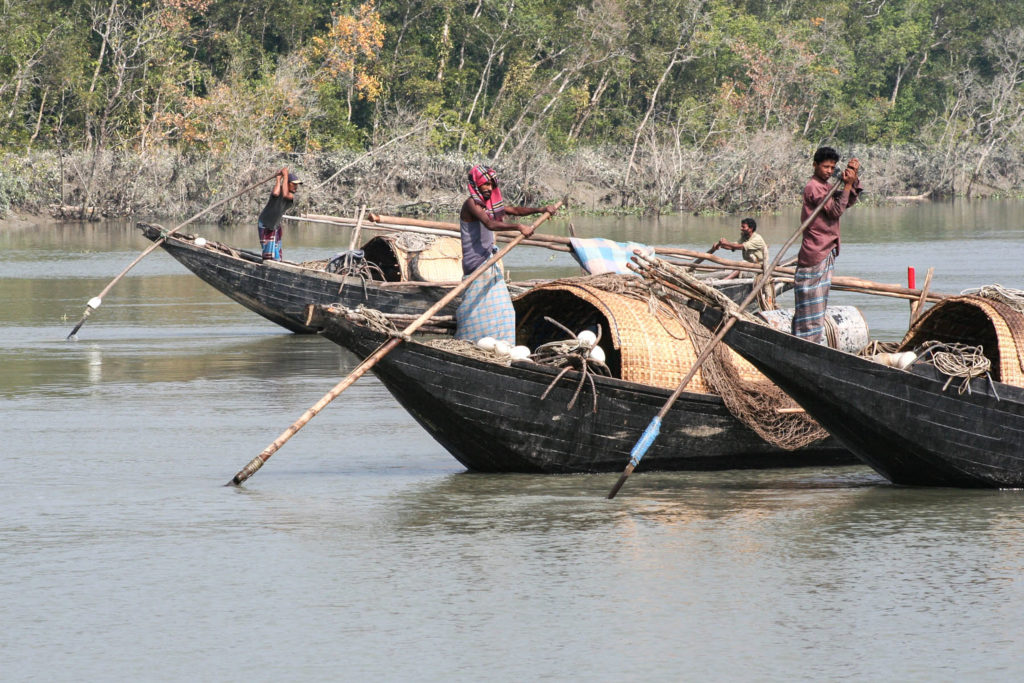 Searching for the Man-Eating Tigers of the Sundarbans, World’s Largest ...