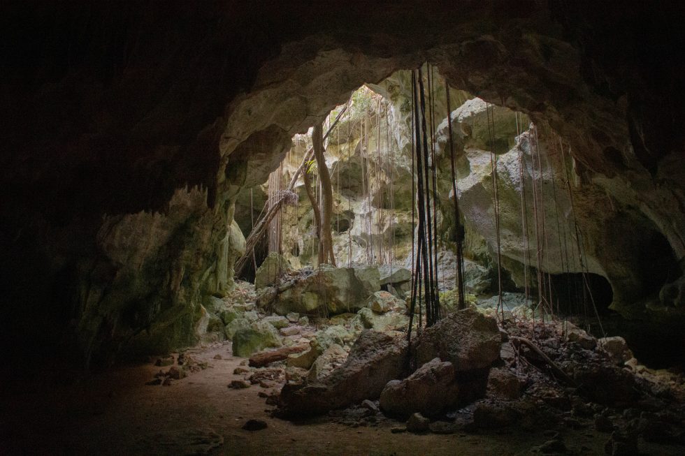 A Weekend of Exploring Caves Both Above and Under-Water in the Wild ...
