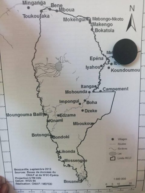 Searching for a Dinosaur Named Mokele Mbembe in the Central African ...