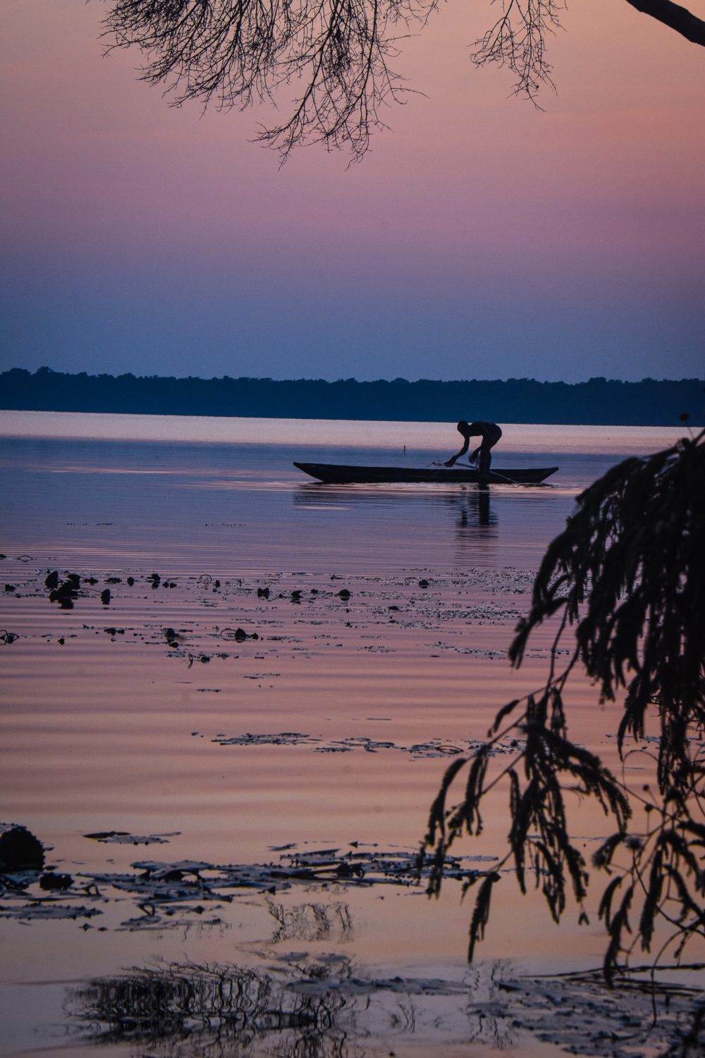 Searching for a Dinosaur Named Mokele Mbembe in the Central African ...