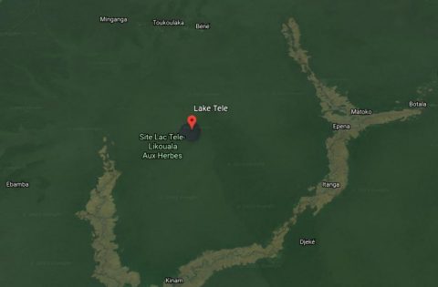 Searching for a Dinosaur Named Mokele Mbembe in the Central African ...